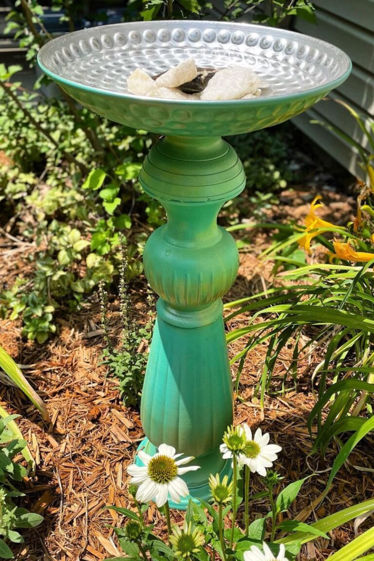 25 DIY Bird Bath Ideas for 2026 – Fizzy Flare