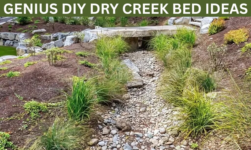 18 DIY Dry Creek Bed For Drainage Ideas for 2026 – Fizzy Flare