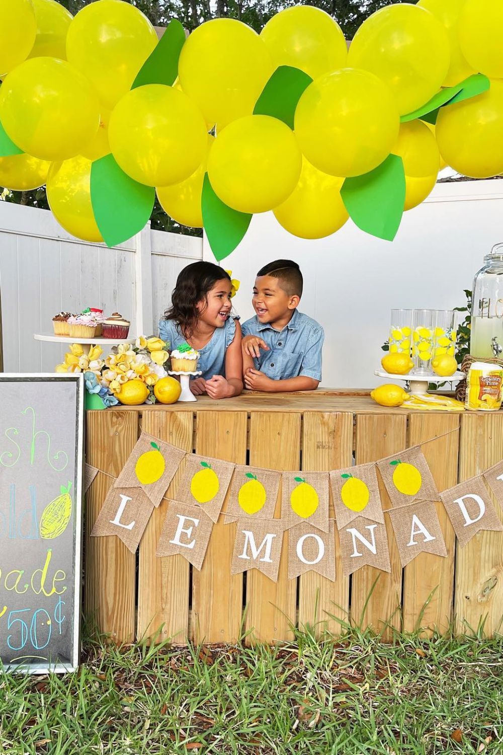 15 DIY Lemonade Stand Ideas for 2026 – Fizzy Flare
