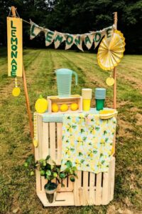 15 DIY Lemonade Stand Ideas for 2026 – Fizzy Flare