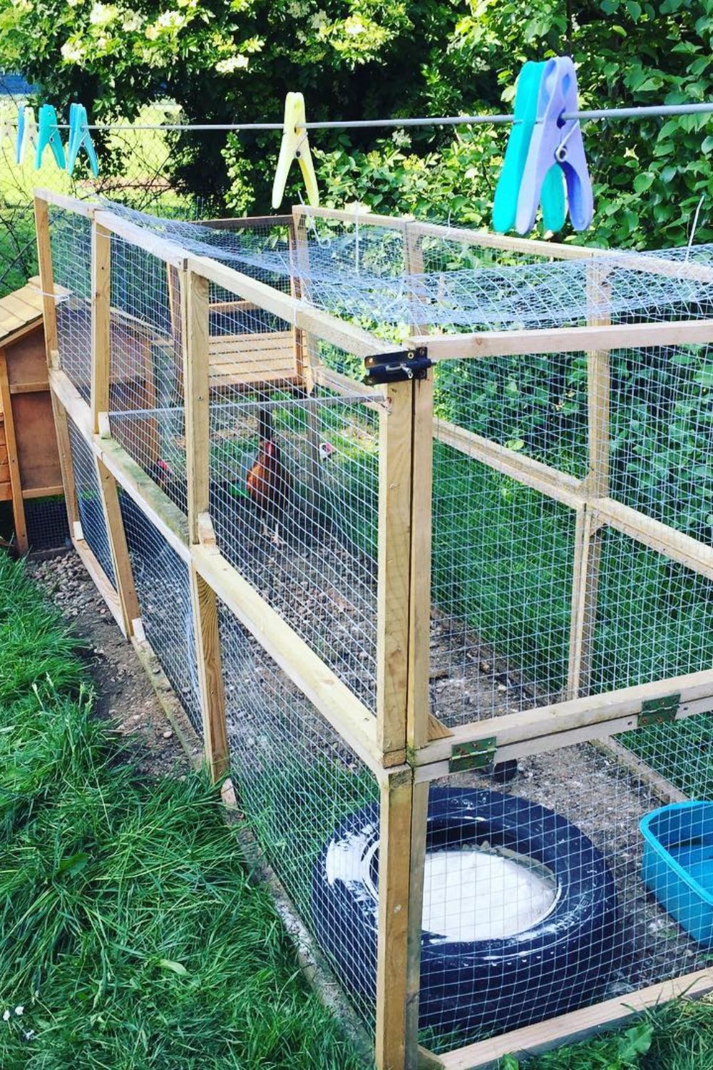 22 DIY Chicken Run Ideas for 2026 – Fizzy Flare