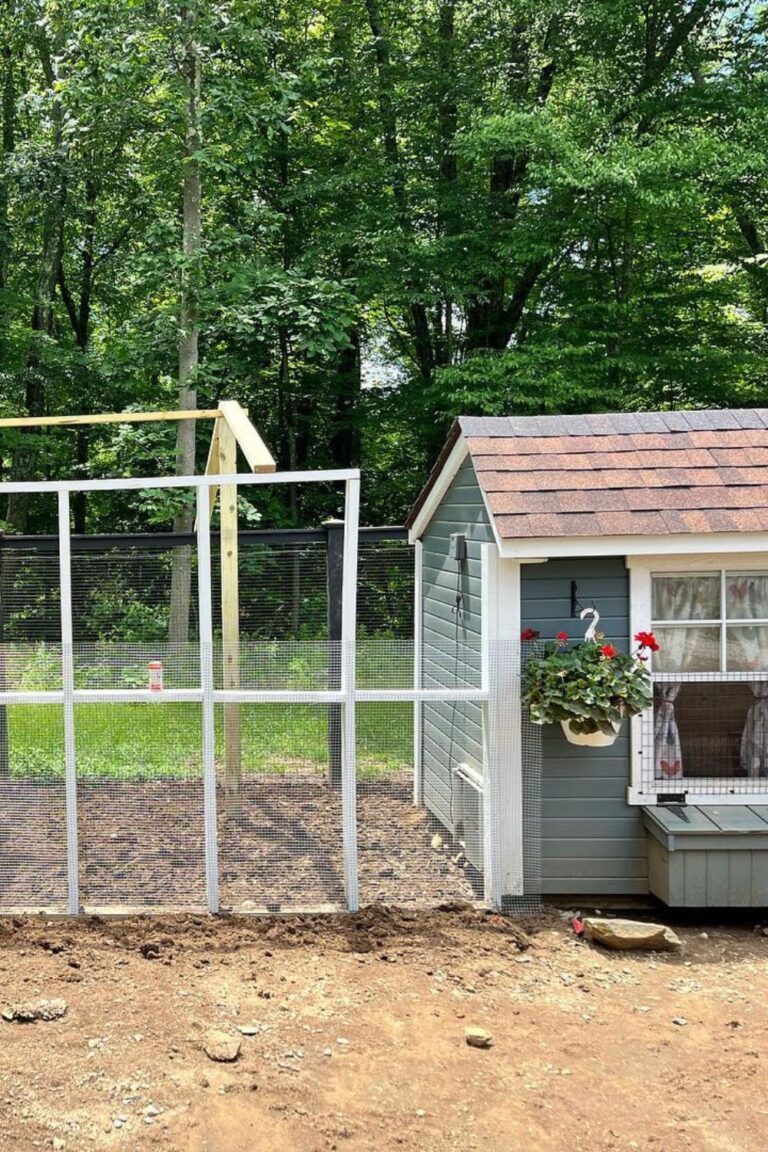 22 DIY Chicken Run Ideas for 2026 – Fizzy Flare