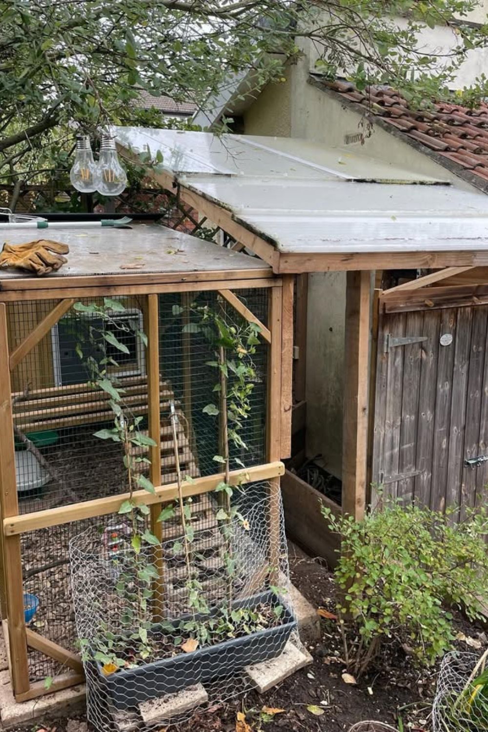 22 DIY Chicken Run Ideas for 2026 – Fizzy Flare