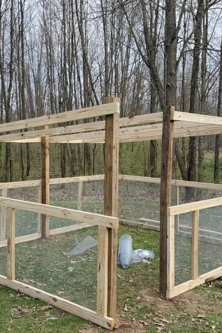 22 DIY Chicken Run Ideas for 2026 – Fizzy Flare
