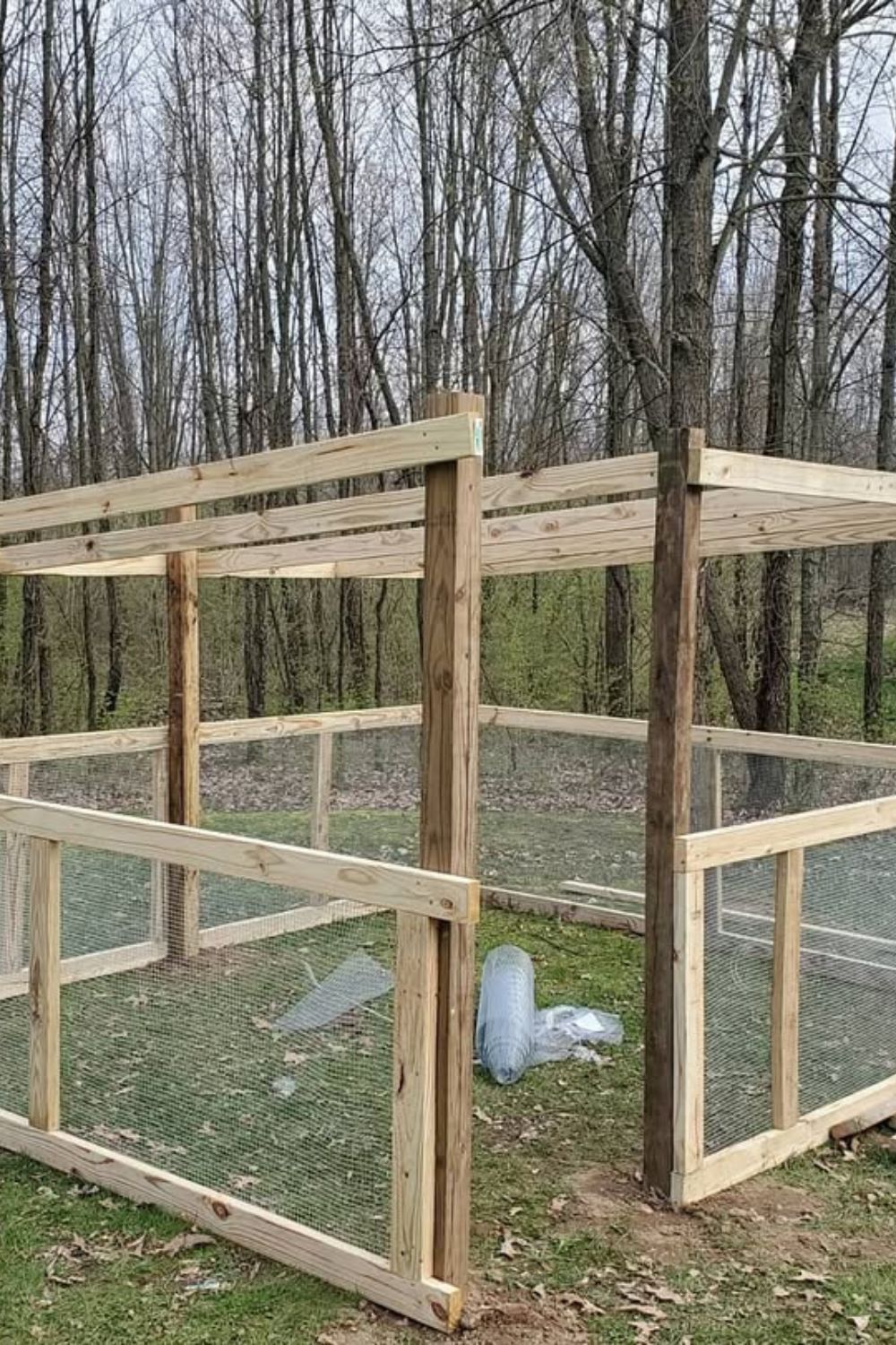 22 DIY Chicken Run Ideas for 2026 – Fizzy Flare