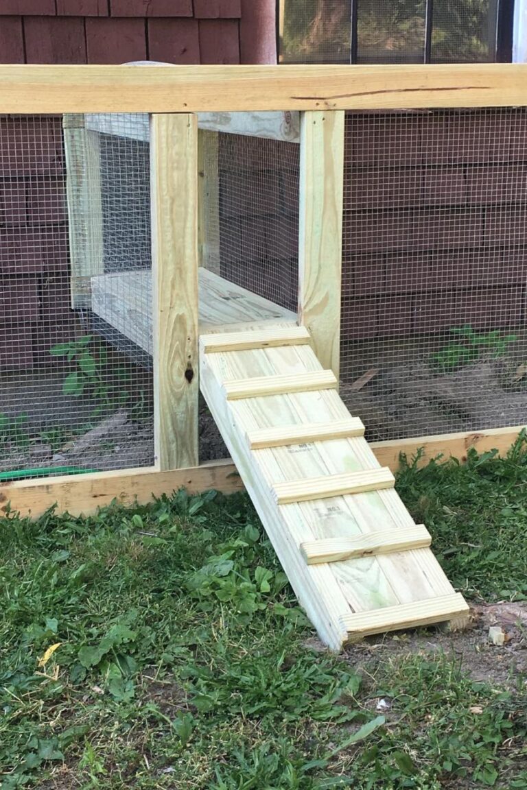 22 DIY Chicken Run Ideas for 2026 – Fizzy Flare