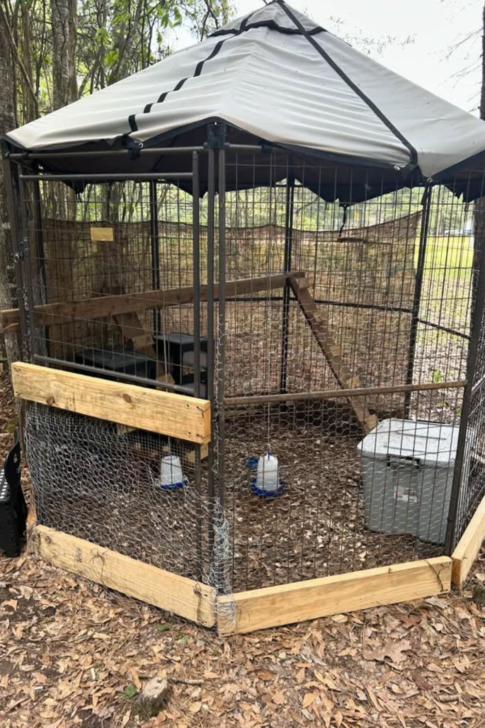 22 DIY Chicken Run Ideas for 2026 – Fizzy Flare
