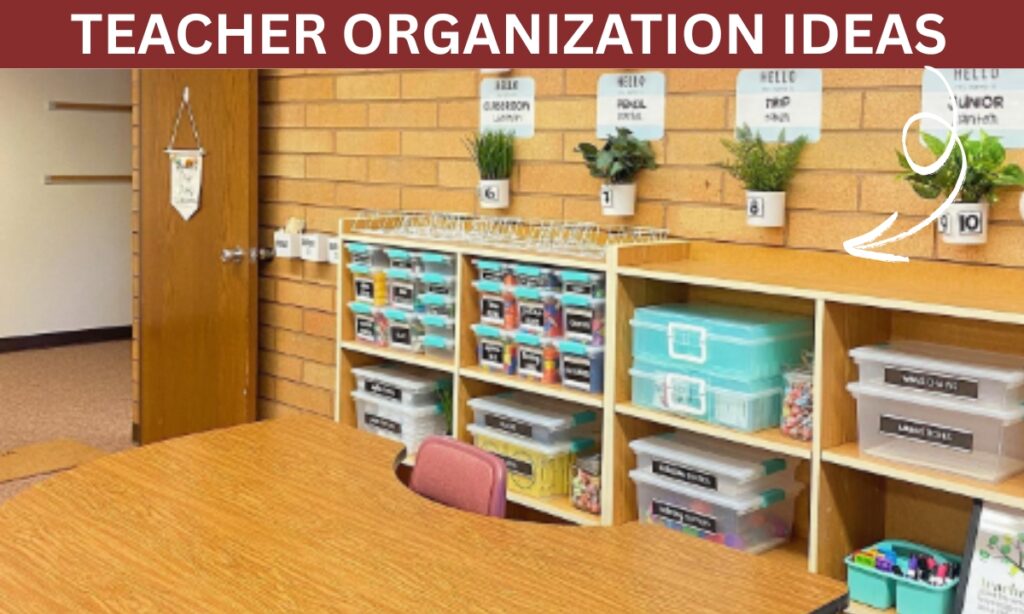 22 Teacher Organization Ideas for 2026 – Fizzy Flare