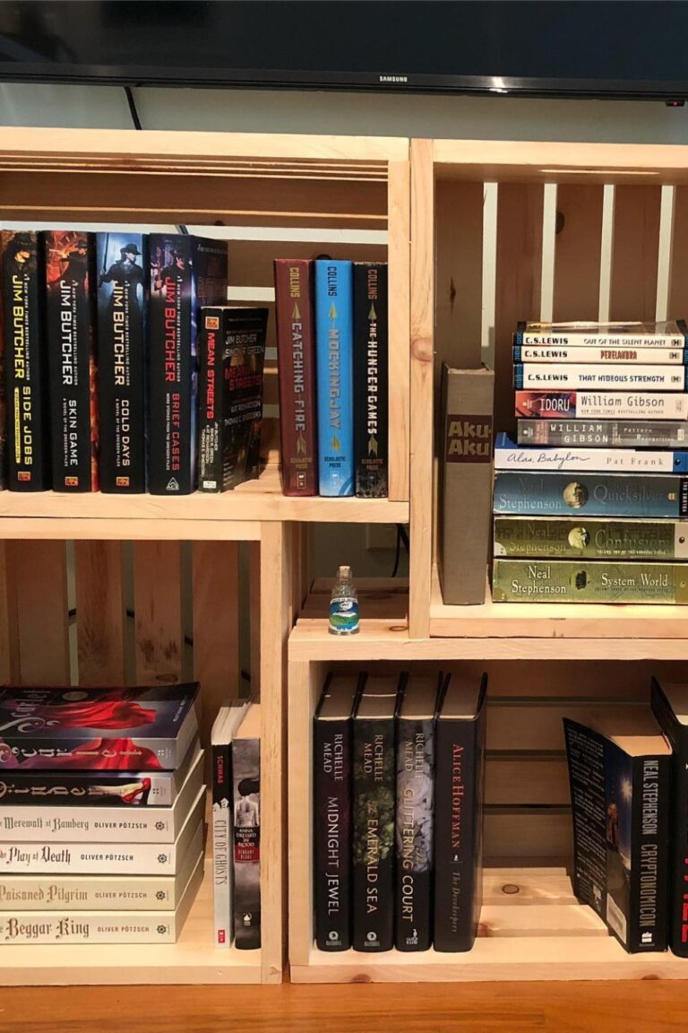 20 Genius Book Storage Ideas for 2026 – Fizzy Flare