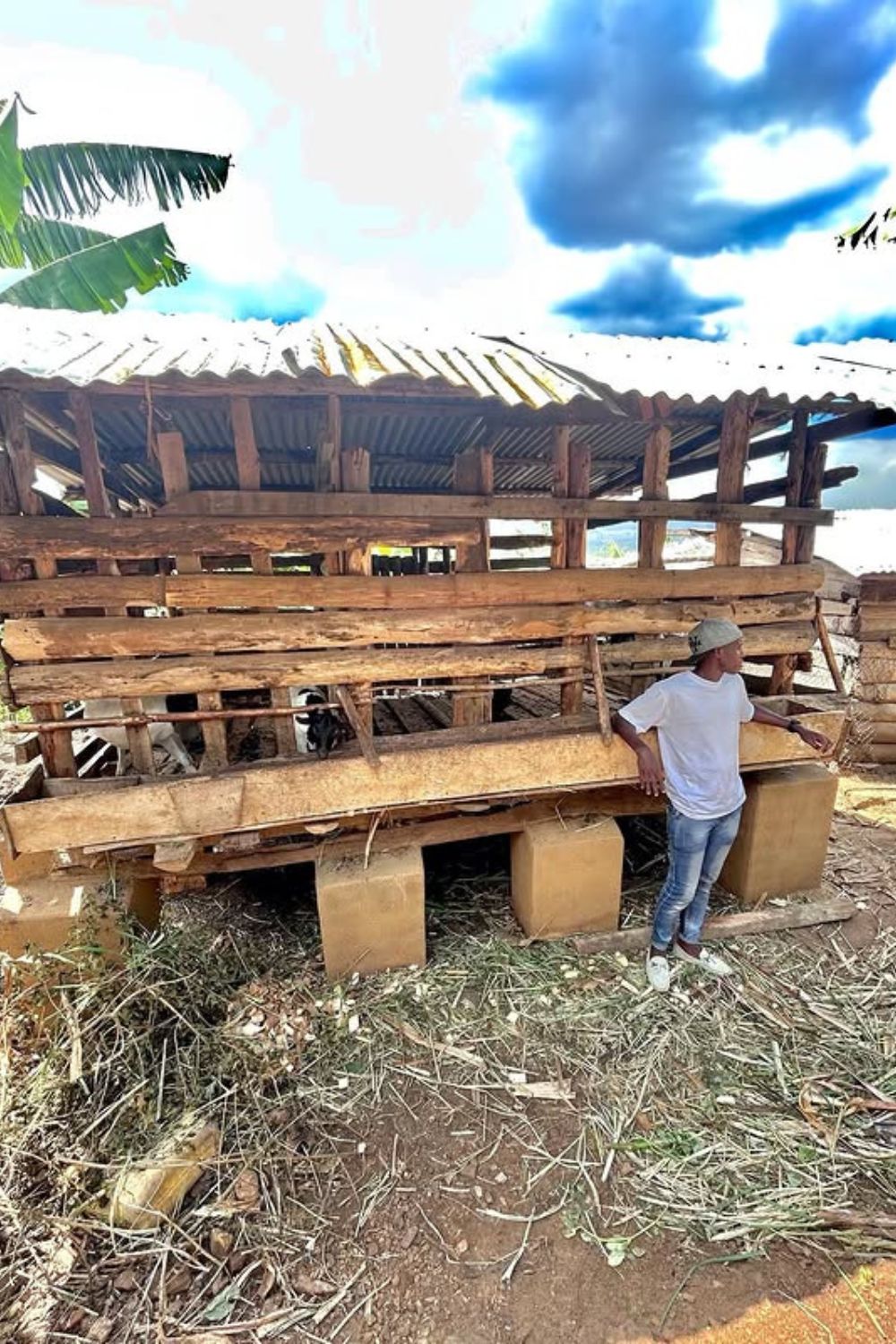 16 Goat Pen Ideas DIY for 2026 – Fizzy Flare