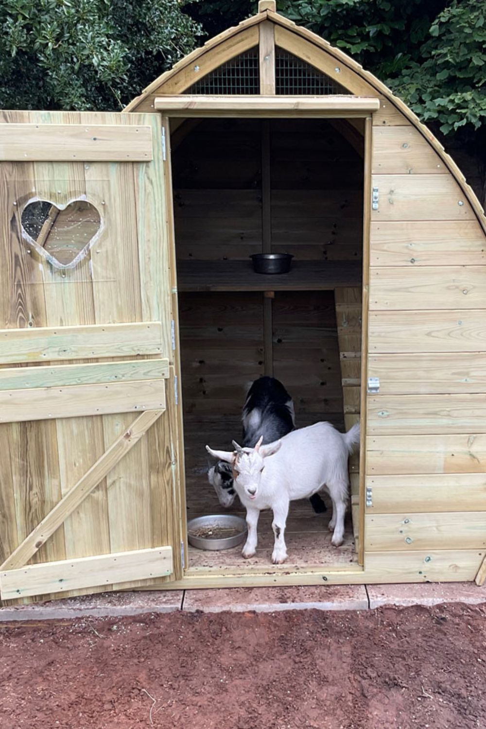 16 Goat Pen Ideas DIY For 2026 – Fizzy Flare