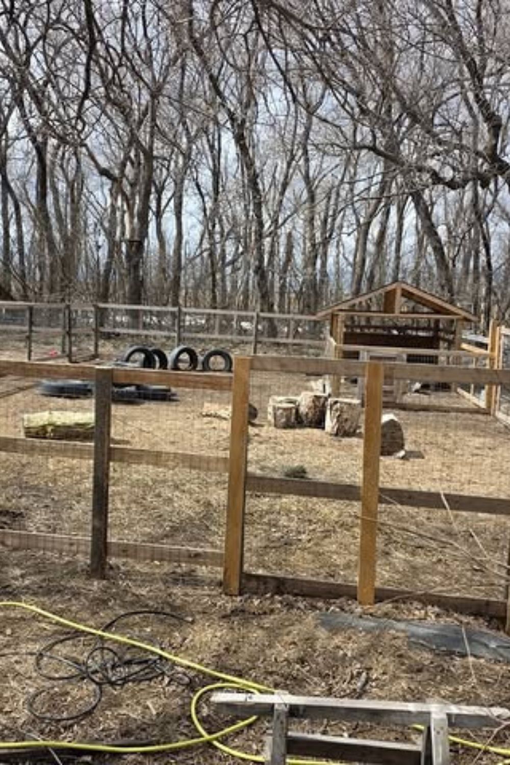 16 Goat Pen Ideas DIY For 2026 – Fizzy Flare