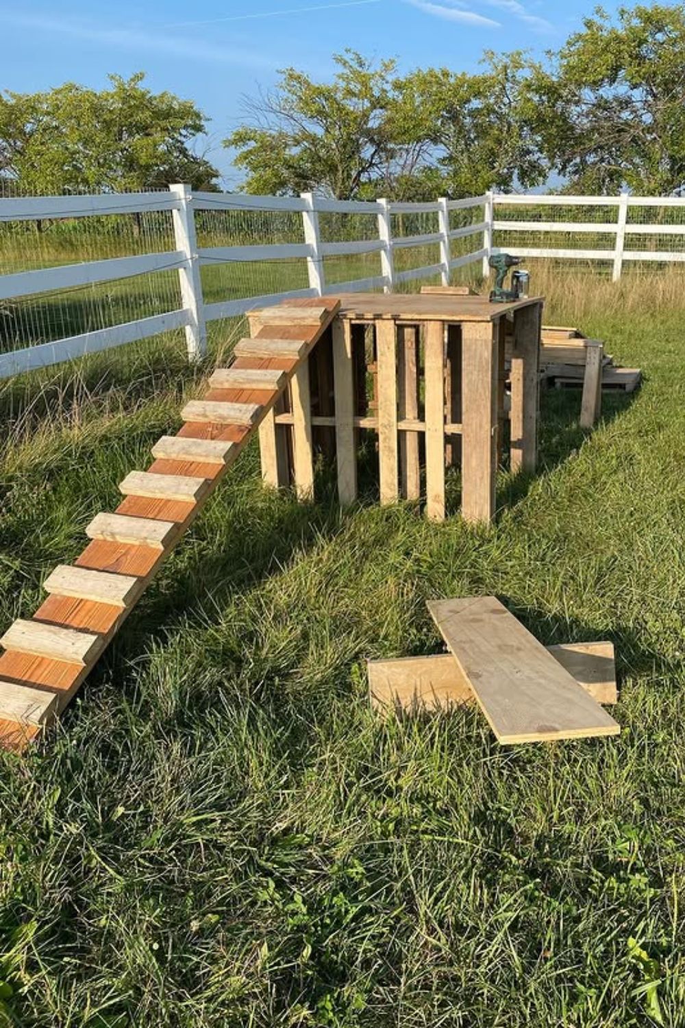 24 Goat Playground Ideas DIY For 2026 – Fizzy Flare